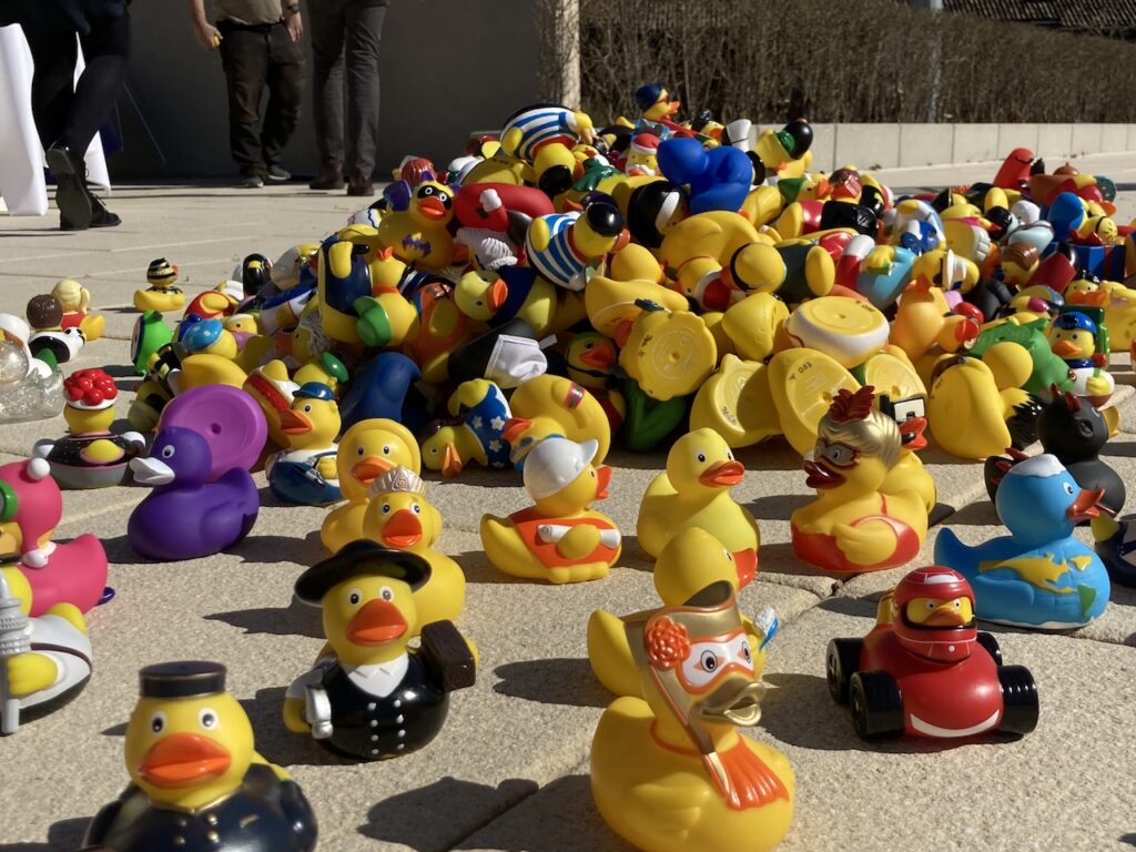 Preparativi per la gara delle papere Alto Adige 2021: nuovo format con ...