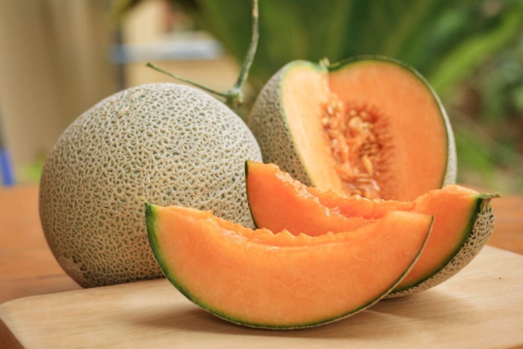 Melone, quali sono le varietà da conoscere? - La voce di Bolzano