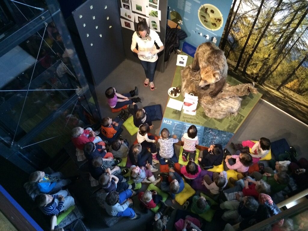 Scoprire gli orsi preistorici al Museum Ladin: si parte mercoledì 14 ...